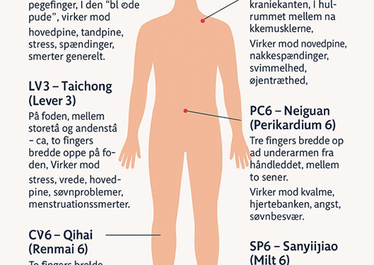 Hvad er Akupunktur - Hvordan virker akupunktur? Kæmpe Guide
